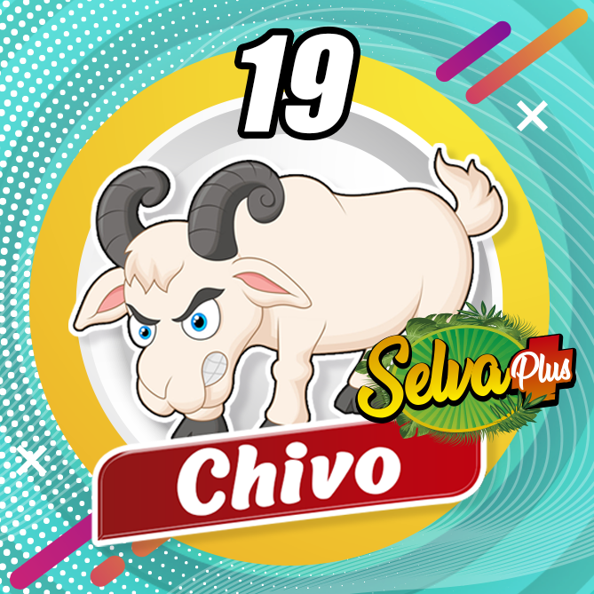 ***SELVA PLUS*** on Twitter: "🚨RESULTADO DEL SORTEO🚨 SELVA PLUS🌟 📆 13/07/2023 🕝 01:00 PM 🏆 CHIVO ...
