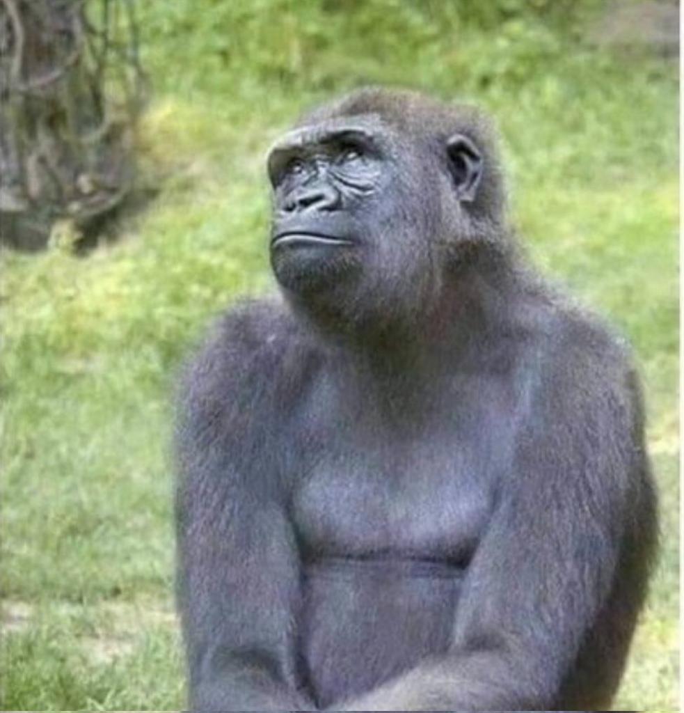 Ndadzoka guys rangu i have learnt hakuna munhu anokuda usina mari kunze ...