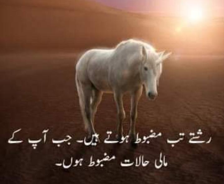 Abdul Raouf Khan on Twitter: "https://t.co/c3x4OxlvkF" / Twitter