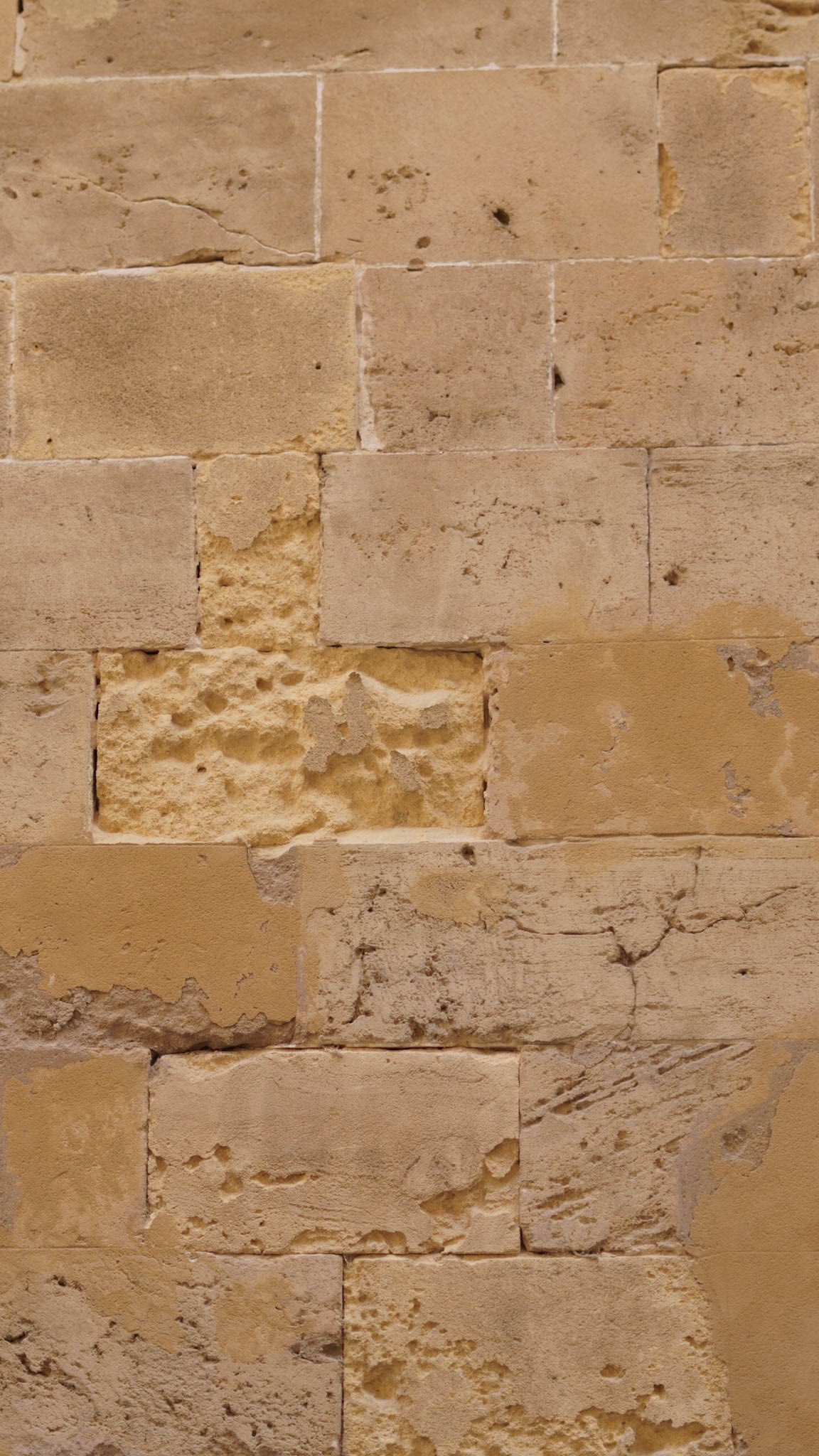 𝗝𝗮𝘃𝗶𝗦𝗸𝗮𝘂 on Twitter: "La razón por la que deberíais compraros una cámara si soy artistas 3D. De ...