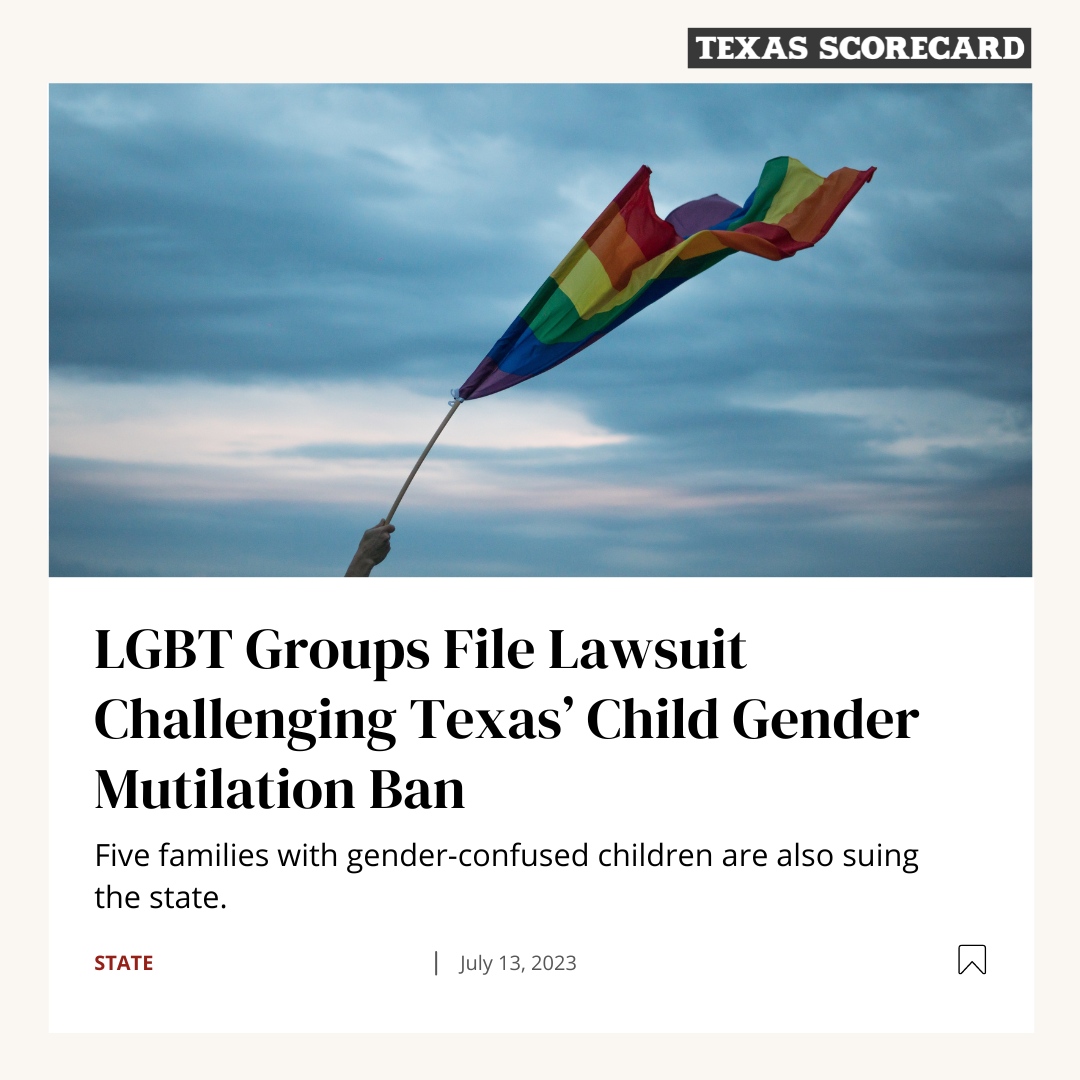 Texas Scorecard on Twitter: "🗞️ LGBT Groups File Lawsuit Challenging Texas’ Child Gender ...