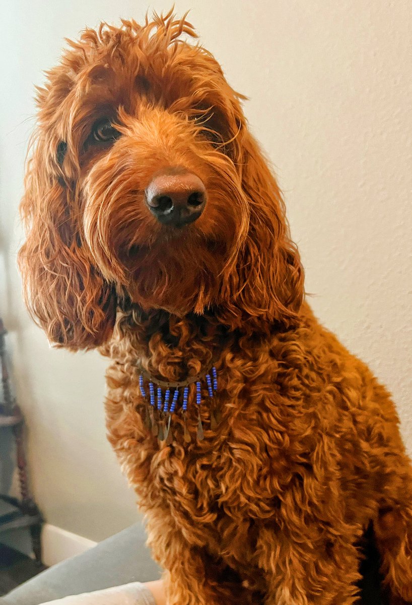 Zed Zha, MD is writing on Twitter: "Mama put a Maasai necklace on me and I feel very pretty ...