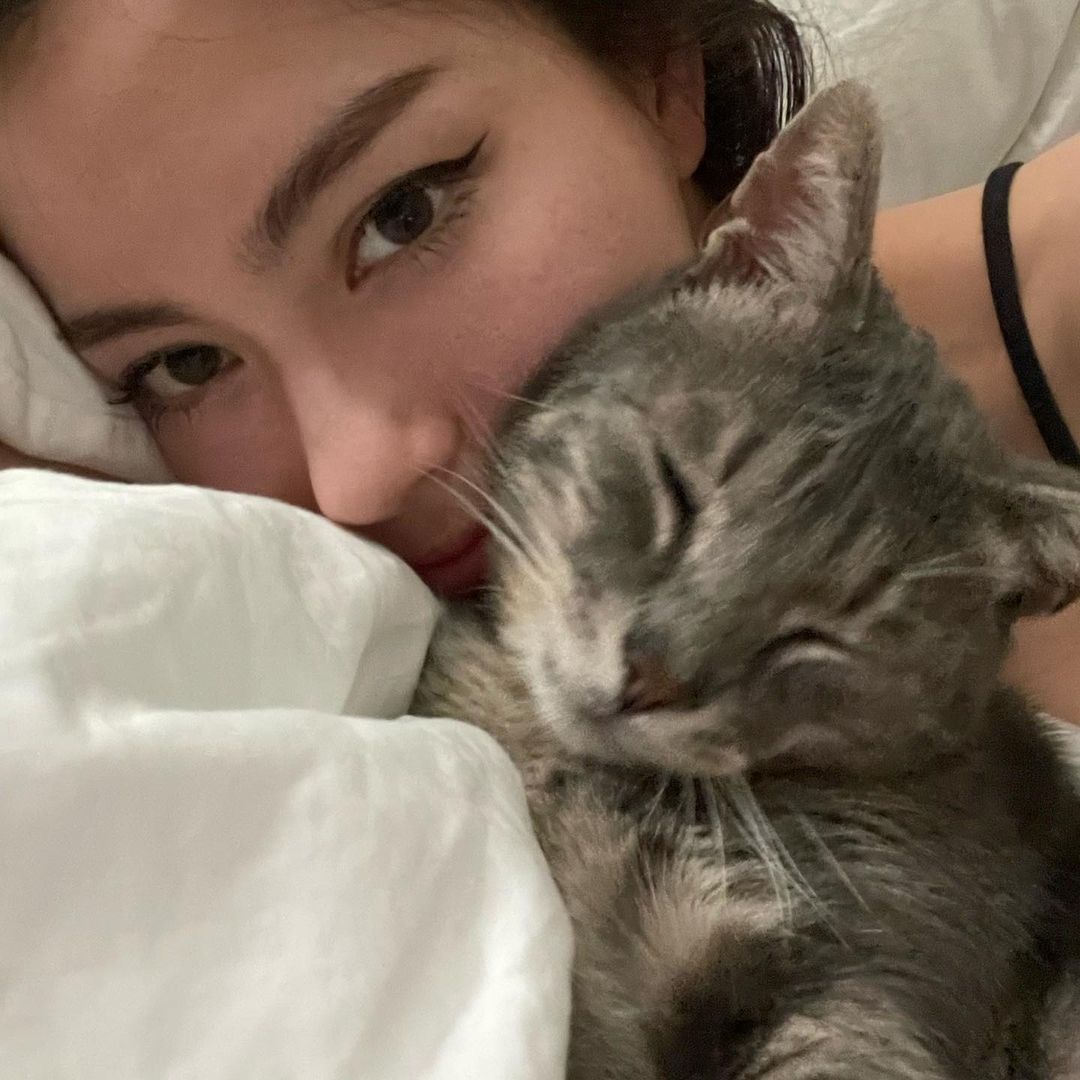 lauren tsai daily on Twitter: "lauren and her cat"