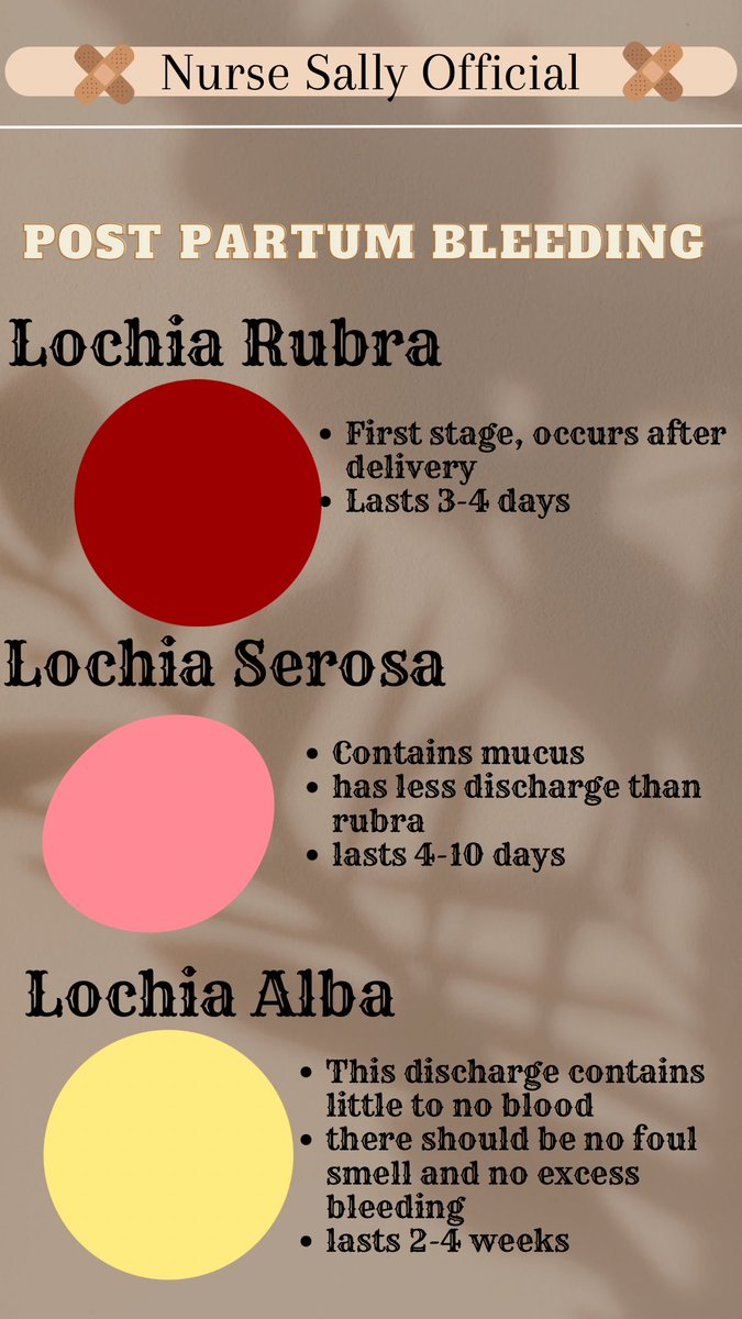 Doula Canada Lochia Why Does It Happen And What Does It, 51% OFF