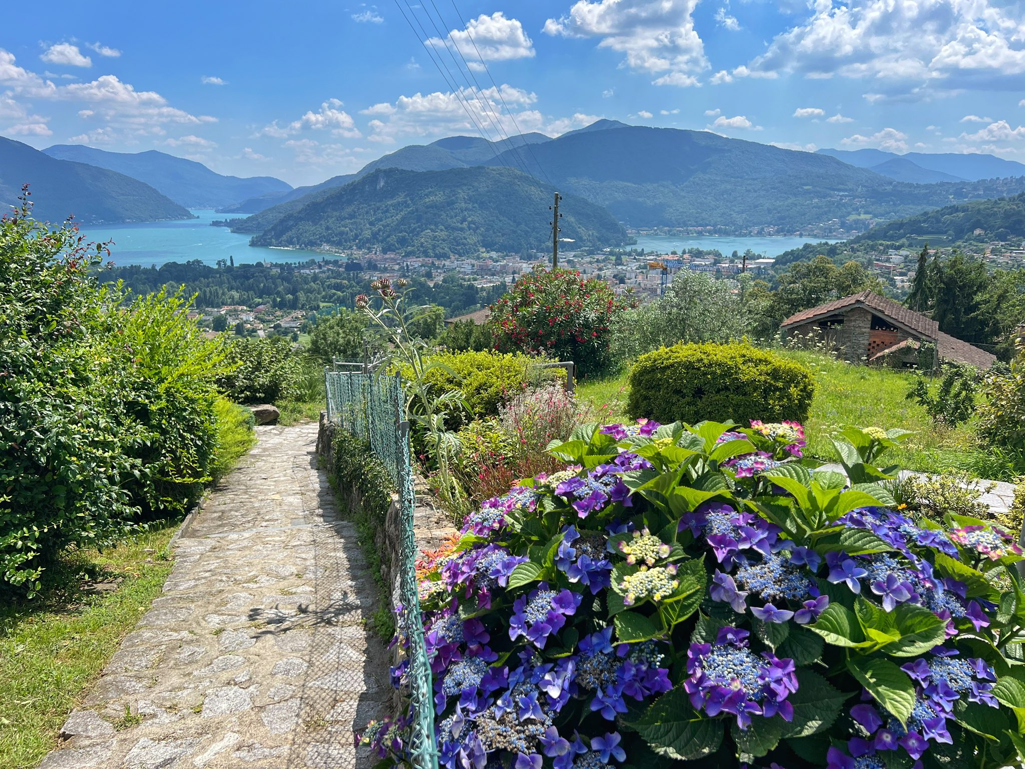 Nako Nakatsuka on Twitter: "20 km hike in Ticino with sun, lake, and beautiful flowers. The best ...