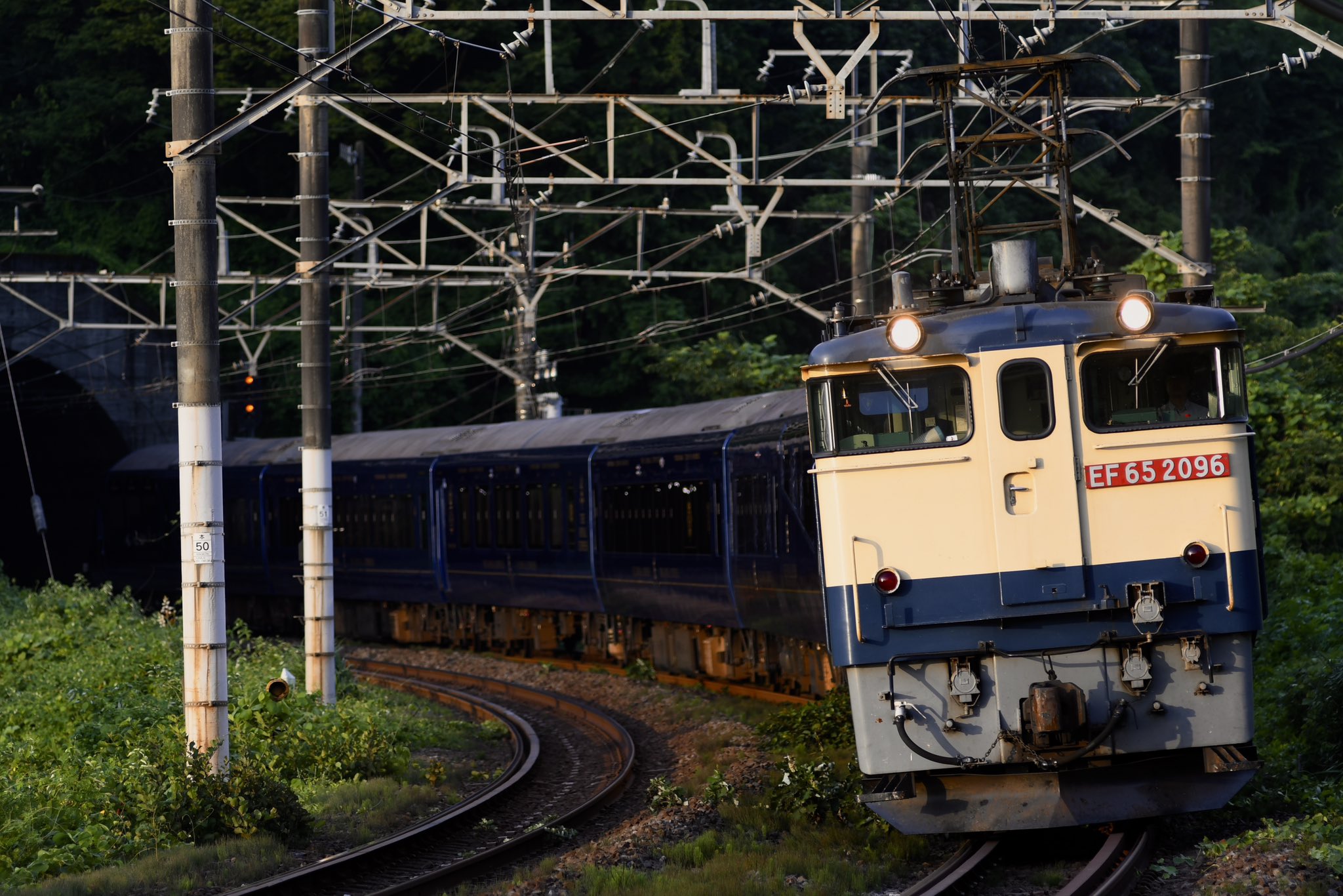 ごまドレ on Twitter: "7/3 9564レ ロイヤルエクスプレス甲種 EF65 2096＋ﾏﾆ50＋伊豆急2100系5B 元東京機関区釜で撮れて満足☺️ https://t.co ...