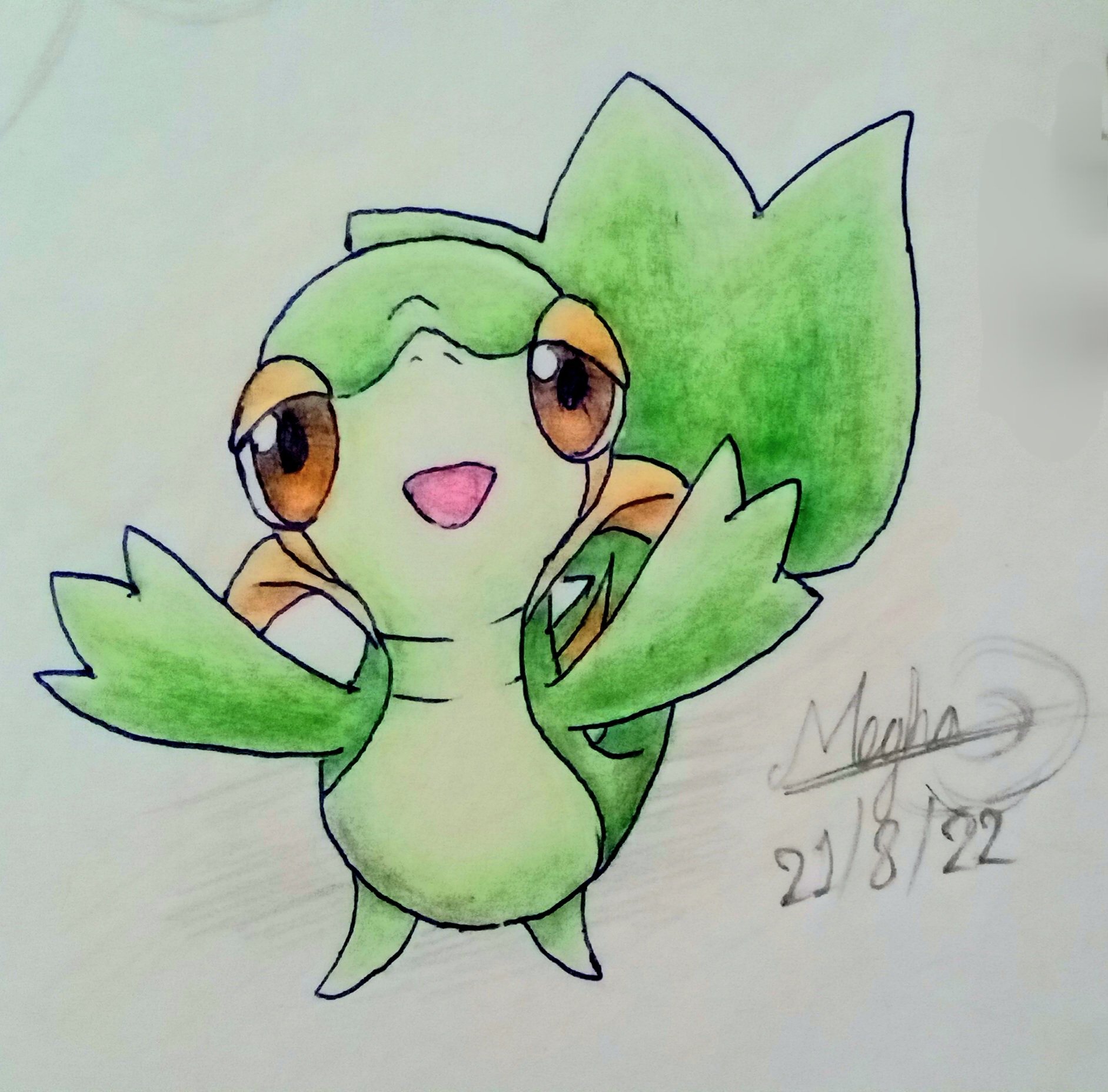 Snivy Drawing