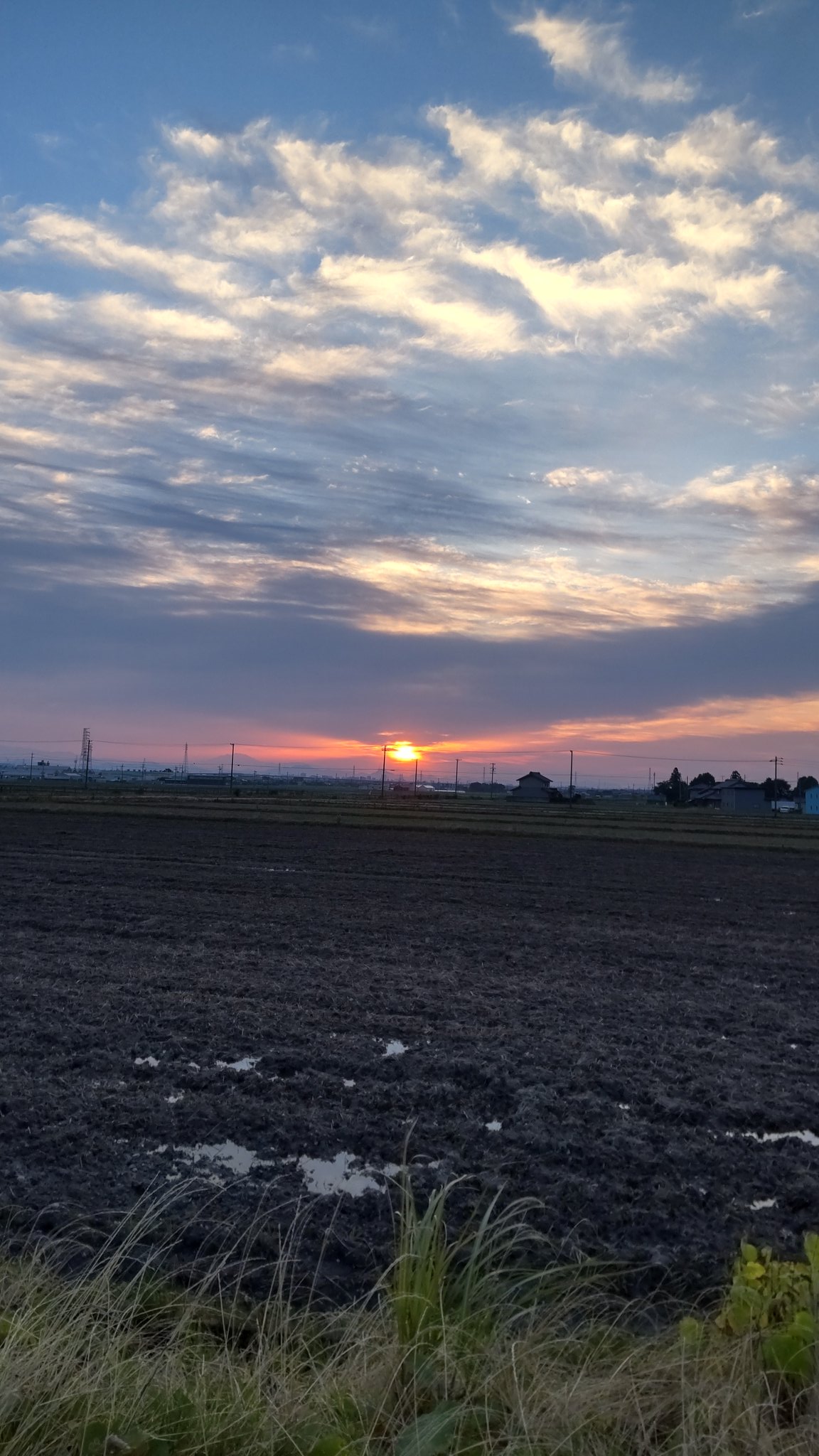養老のターキー On Twitter 梅雨空を押しのけるように、太陽が昇ってきました。 風上に向かって歩いていると息が切れます。お天気は申し分無し。1週間の始まりの日、予定表はビッシリです 