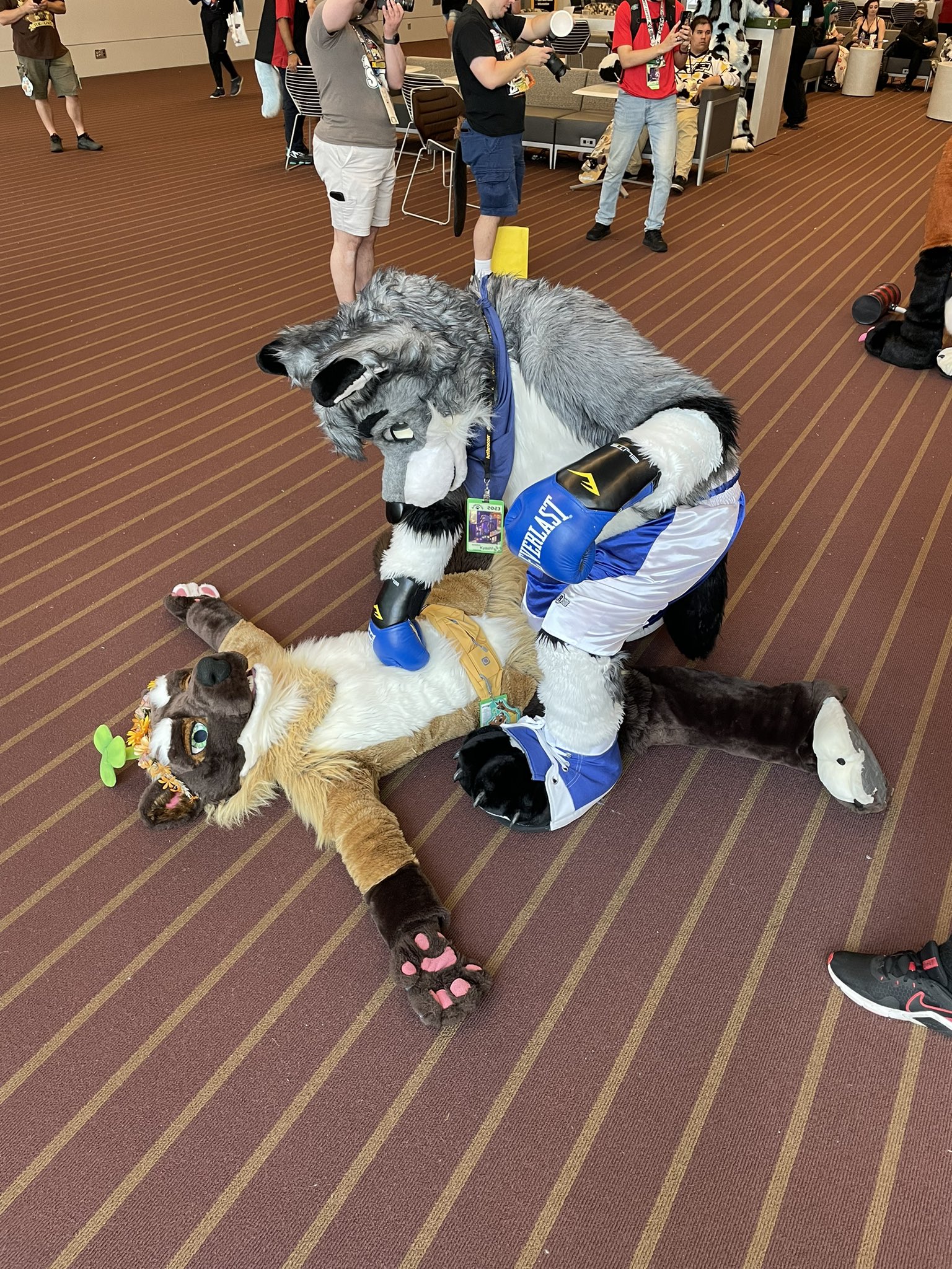 Polycereal 杂粮 → Denfur on Twitter: "He too strong, can't beat up with the boxer wuff @KyashKT # ...