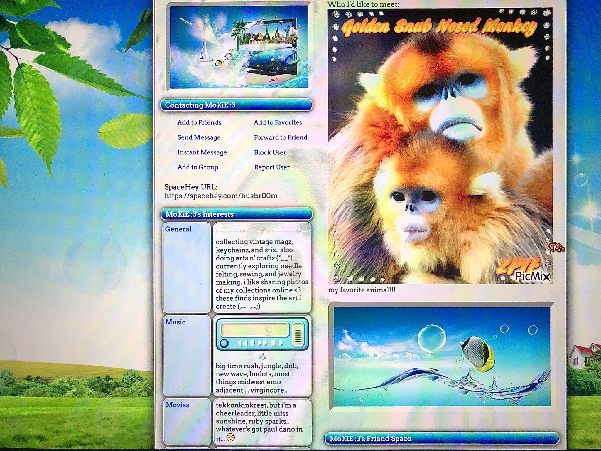 𝙼𝙾𝚇𝙸𝙴 —po stickers in prod on Twitter: "@slush____puppy it’s basically like old myspace!!! u can ...