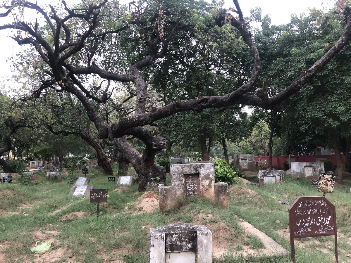 I used to go for a morning jog in a park, passing by this graveyard ...