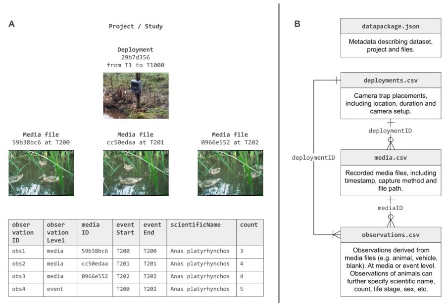 cameratraps on Twitter: "#CamtrapDP: An open standard for the FAIR exchange and archiving of ...