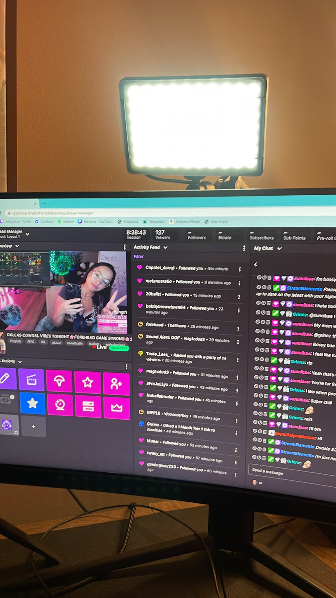 Kitty Corrao on Twitter: "Late night stream JOINNNNN https://t.co/3YX7rVrolH https://t.co ...