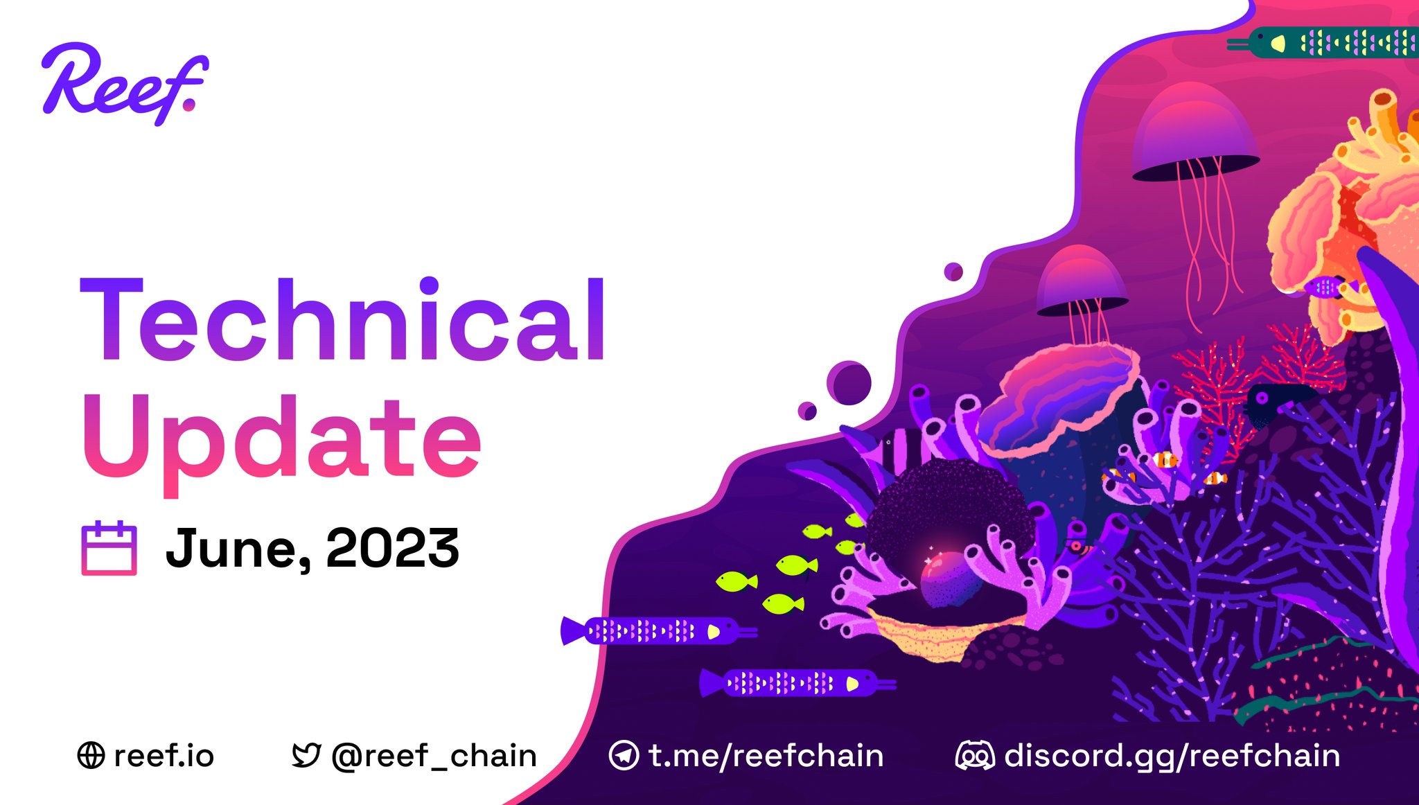 🐠 Reef on Twitter: "(1/3) Reef #TechUpdate: June 2023! 🐠 This month’s tech advancements on # ...