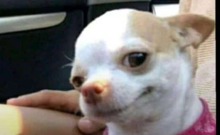 Ndokumbirawo ane $6 nditenge hupfu handifanirwe kunwa doro ndisina ...