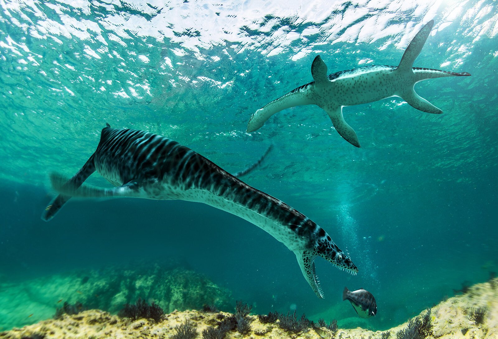 Dino Tweets 🦖🦕 on Twitter: "Leptocleidus by Jose Antonio. #PaleoArt ...