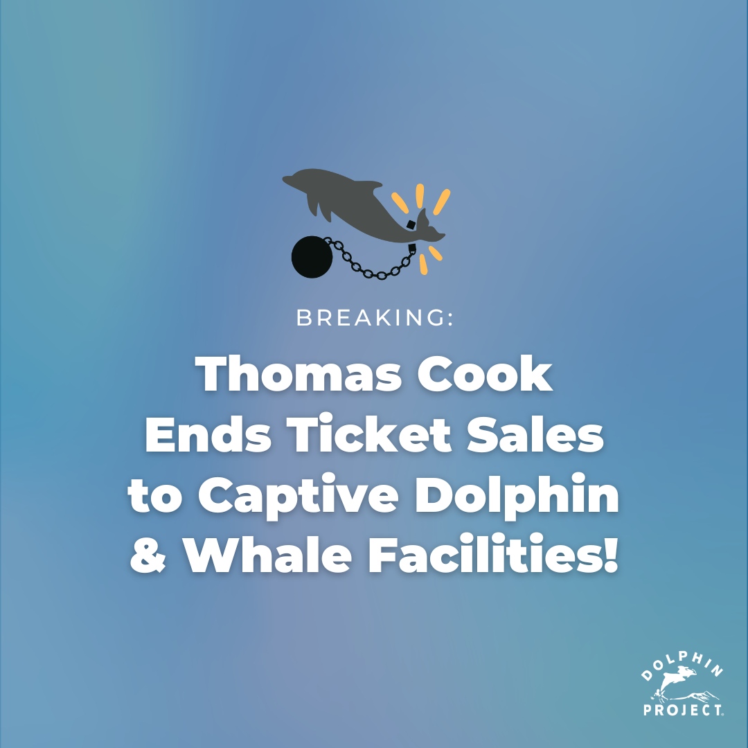 Dolphin Project on Twitter: "Good news!! Thomas Cook has just updated their Animal Welfare ...