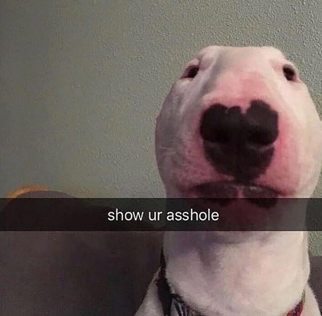 Clup Luu On Twitter Show Ur Asshole ๐ Ladies Drop Your Asshole You Can Also Reply By Quoting
