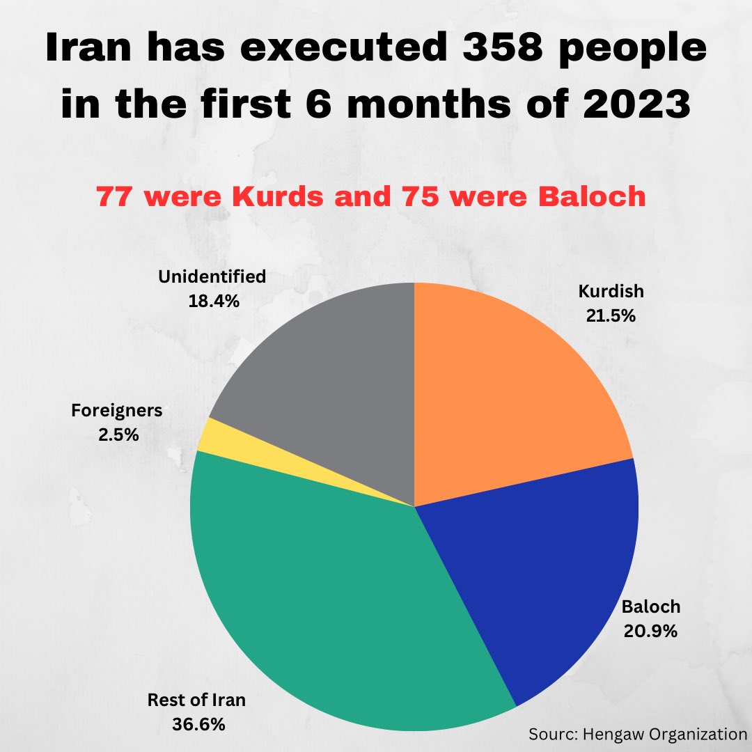 Iran Ethnic Pie Chart