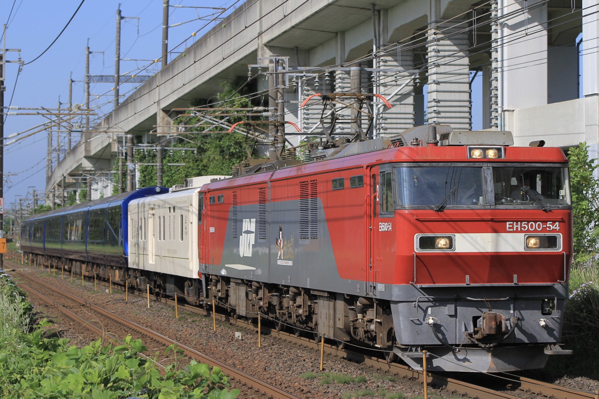 宮ヤマ on Twitter: "2023/07/04#N#9173レ #N#EH500 54+マニ50 2186+伊豆急2100系ロイヤルエクスプレス#N##N#今年も出勤前にサクッと(：P ...