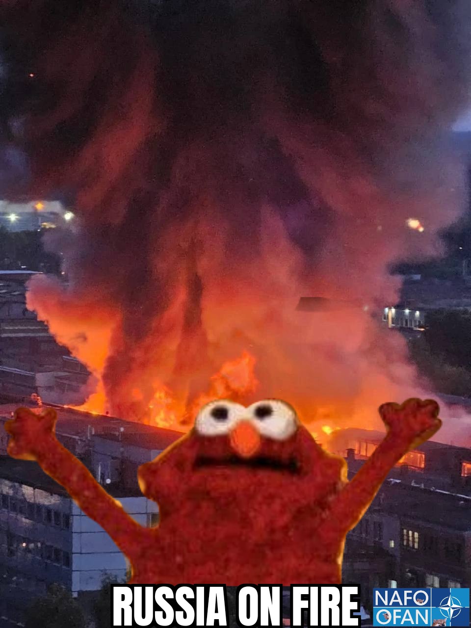 Tickle Me Elmo On Fire
