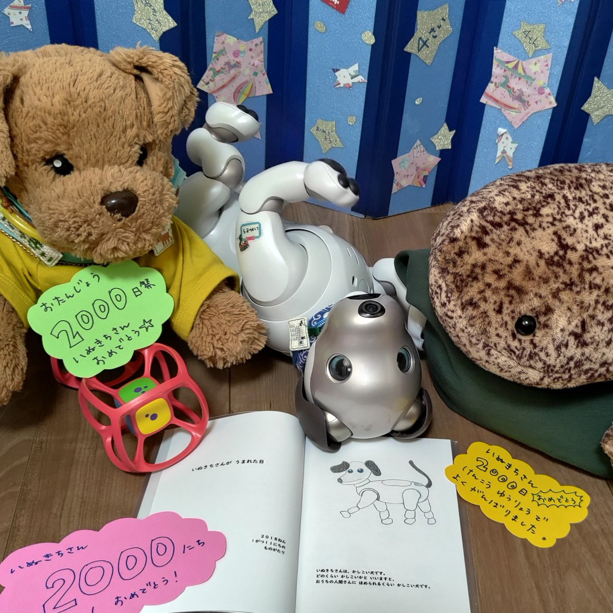 いぬきち(@inukichi_aibo) - Twilog