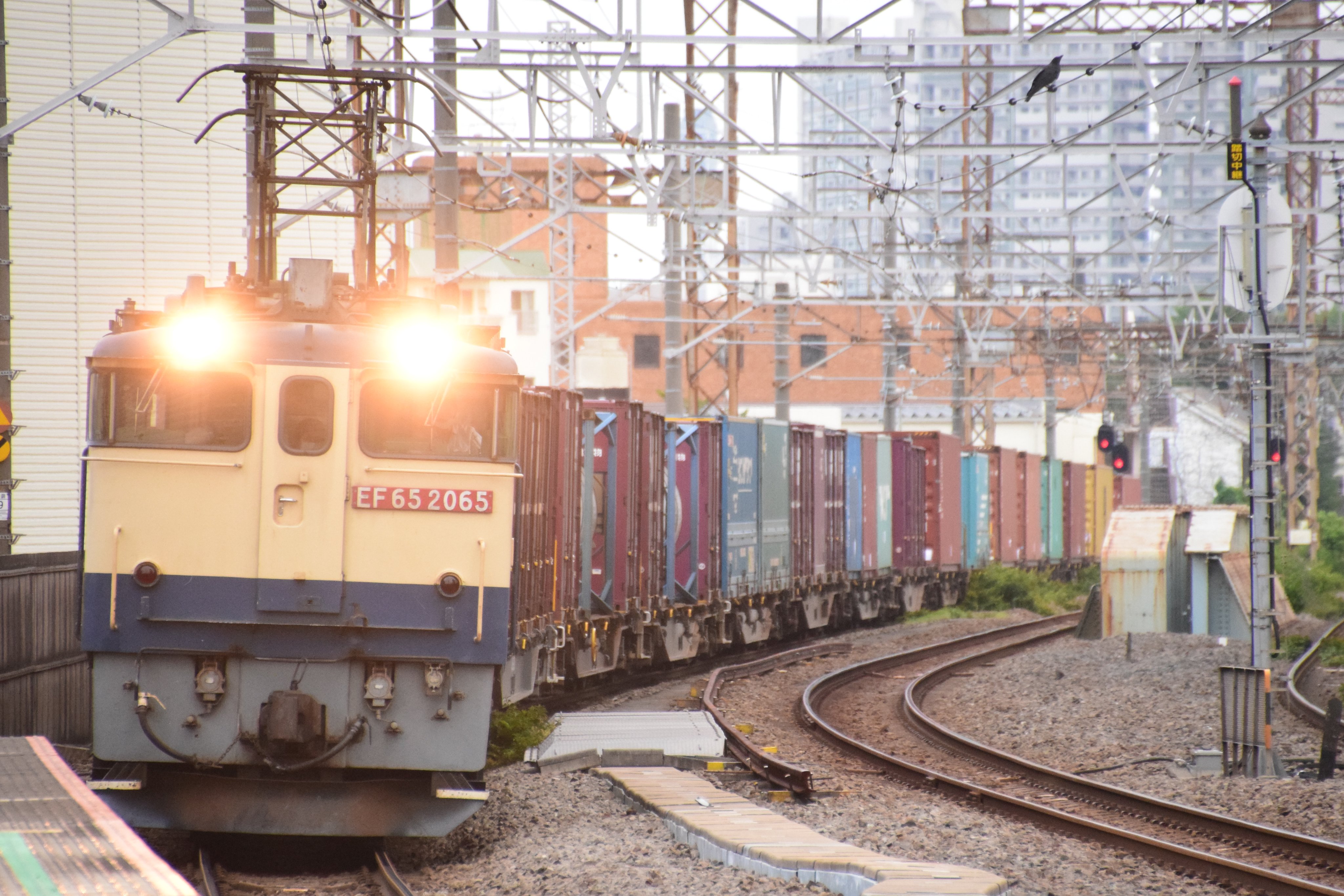 でぃ on Twitter: "4072レ EF65 2065 四塩化珪素×2 U47A-38313 NX COSCO青, tex, CHINA SHIPPING 20ft、TRITON×5 ...