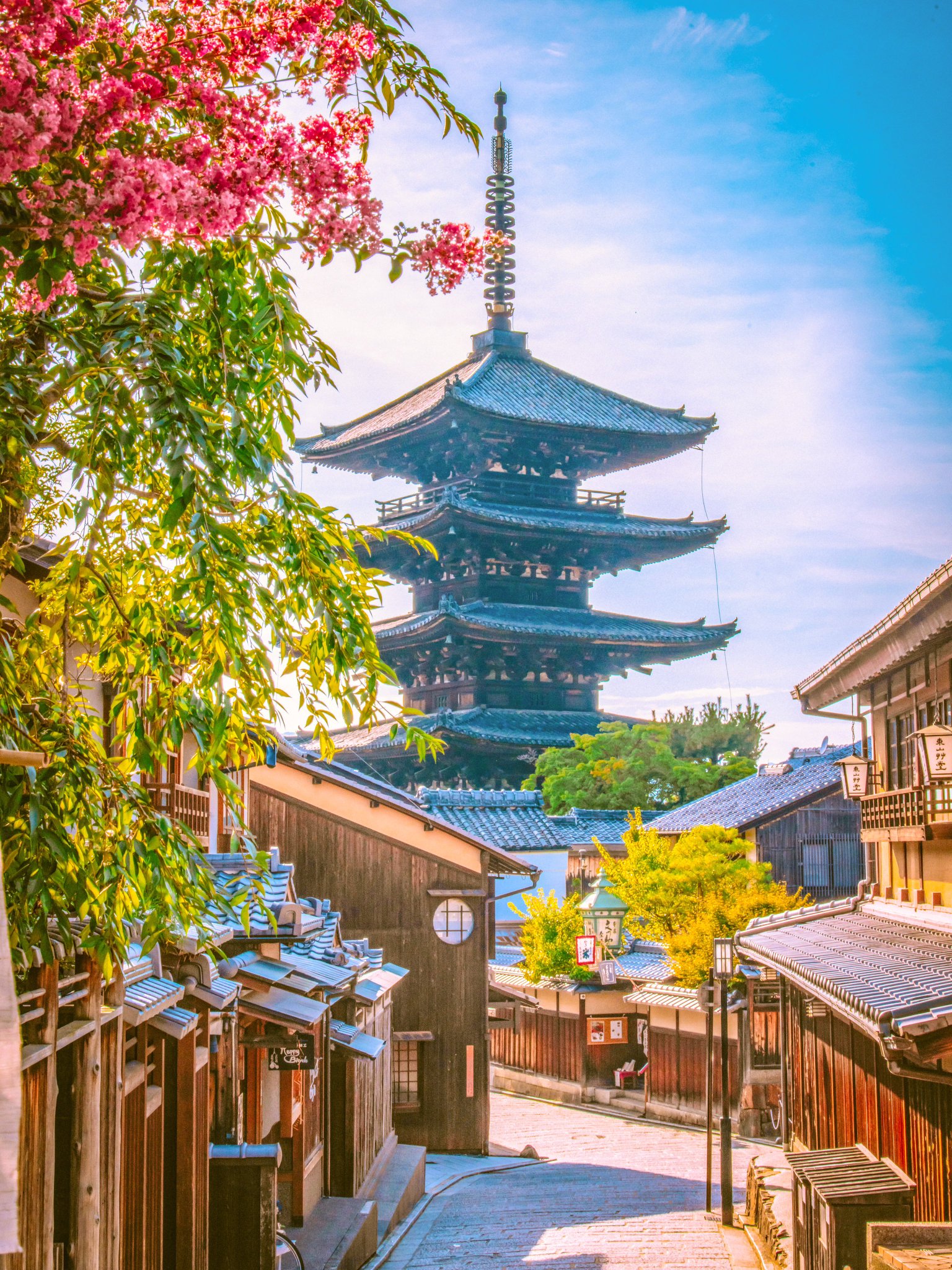 Kanata on Twitter: "百日紅咲く華やかな夏の八坂通。 https://t.co/zRFBaokrsk" / Twitter