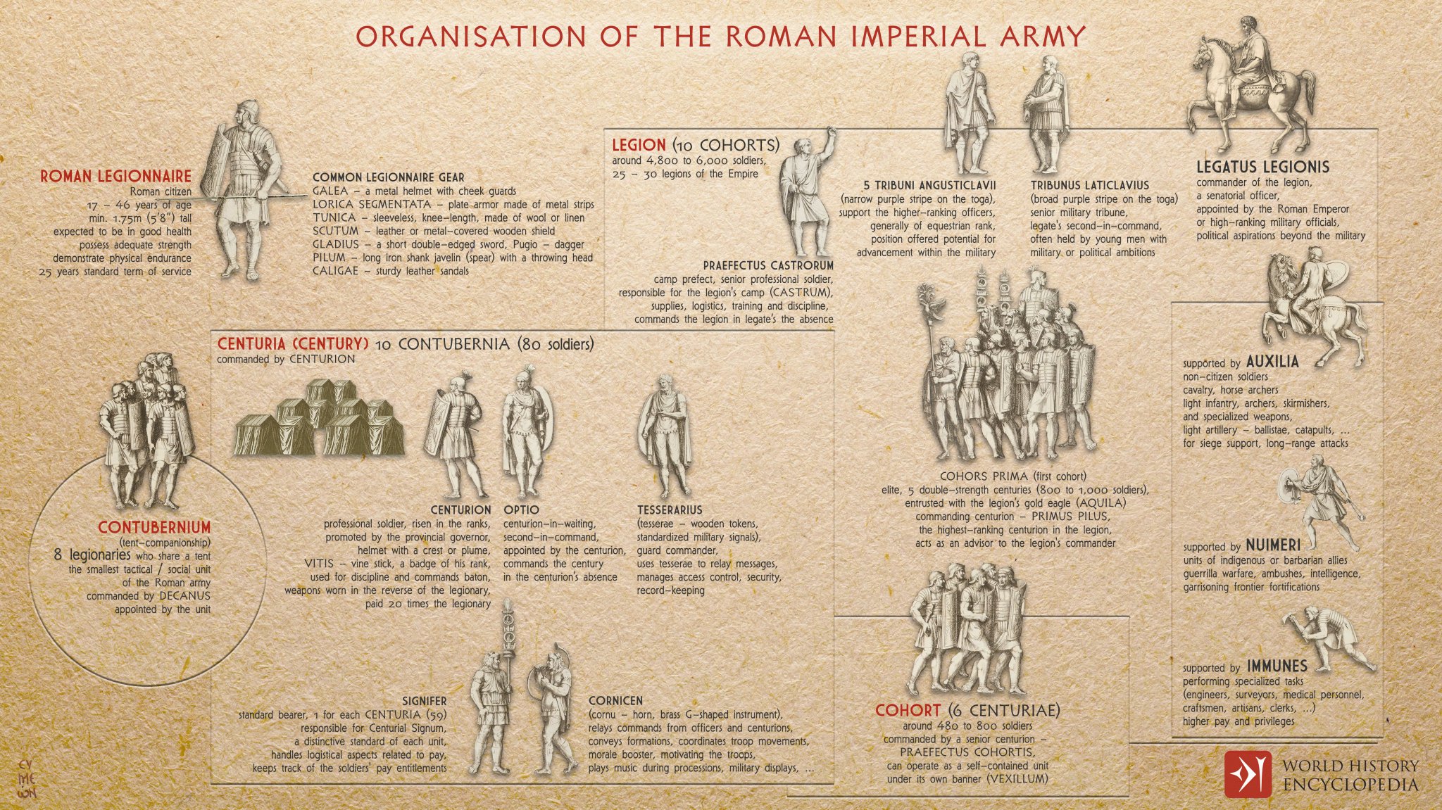 Nrken19 on Twitter: "New detailed infographic illustrating the hierarchical structure and ...