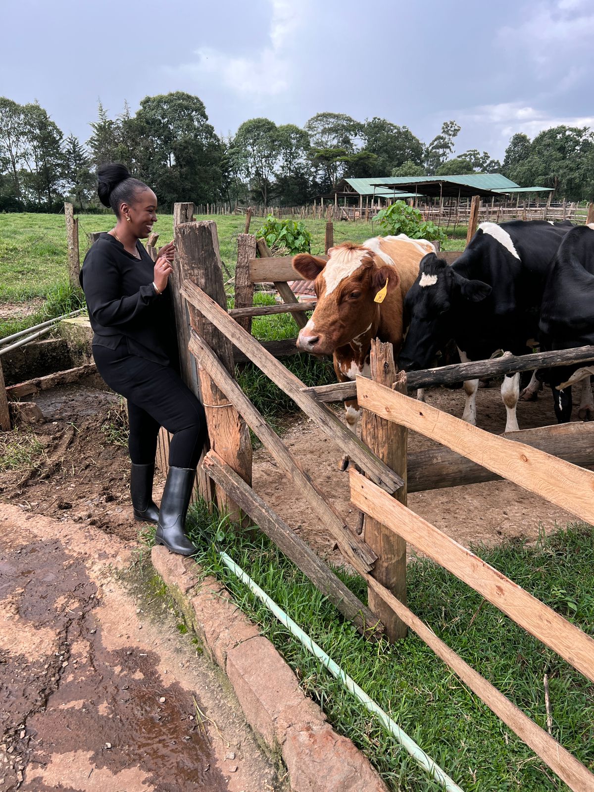 Chanelle J Kittony on Twitter: "Tuesday at the farm https://t.co/uJPLrzHEBu" / Twitter