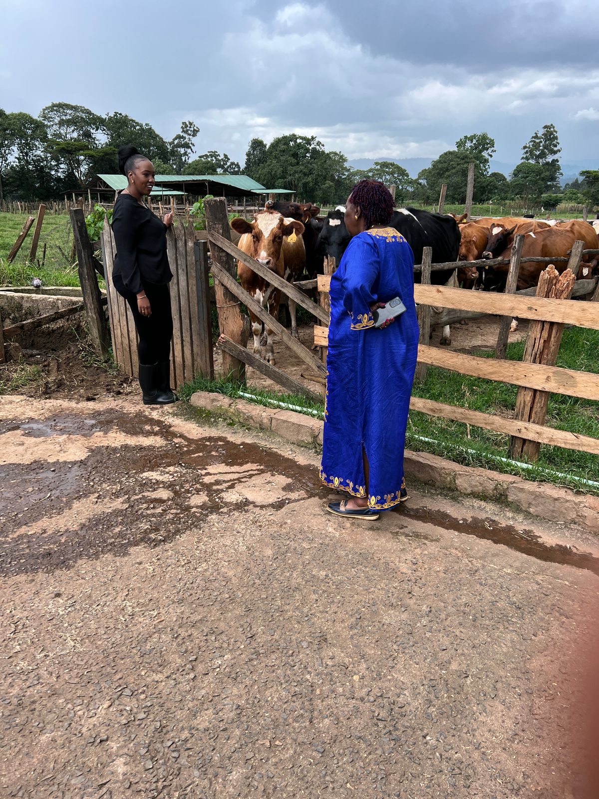 Chanelle J Kittony on Twitter: "Tuesday at the farm https://t.co/uJPLrzHEBu" / Twitter