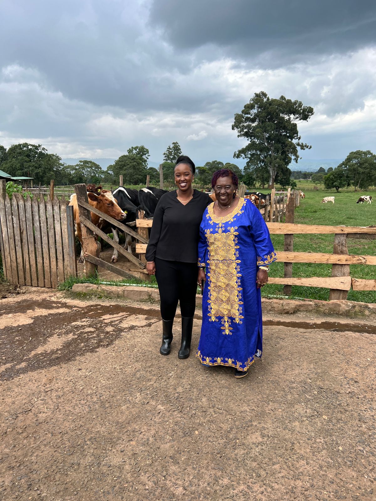 Chanelle J Kittony on Twitter: "Tuesday at the farm https://t.co/uJPLrzHEBu" / Twitter