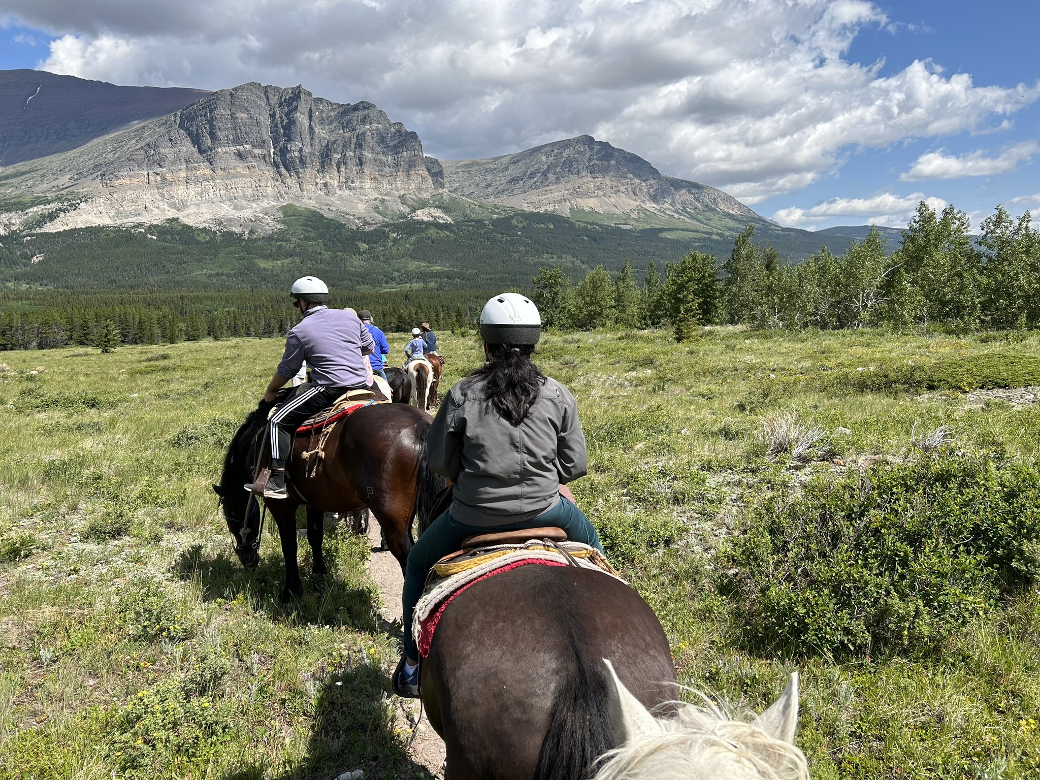 andrew chen on Twitter: "I’m always shocked by the vastness of 🇺🇸 and the kindness of folks I ...