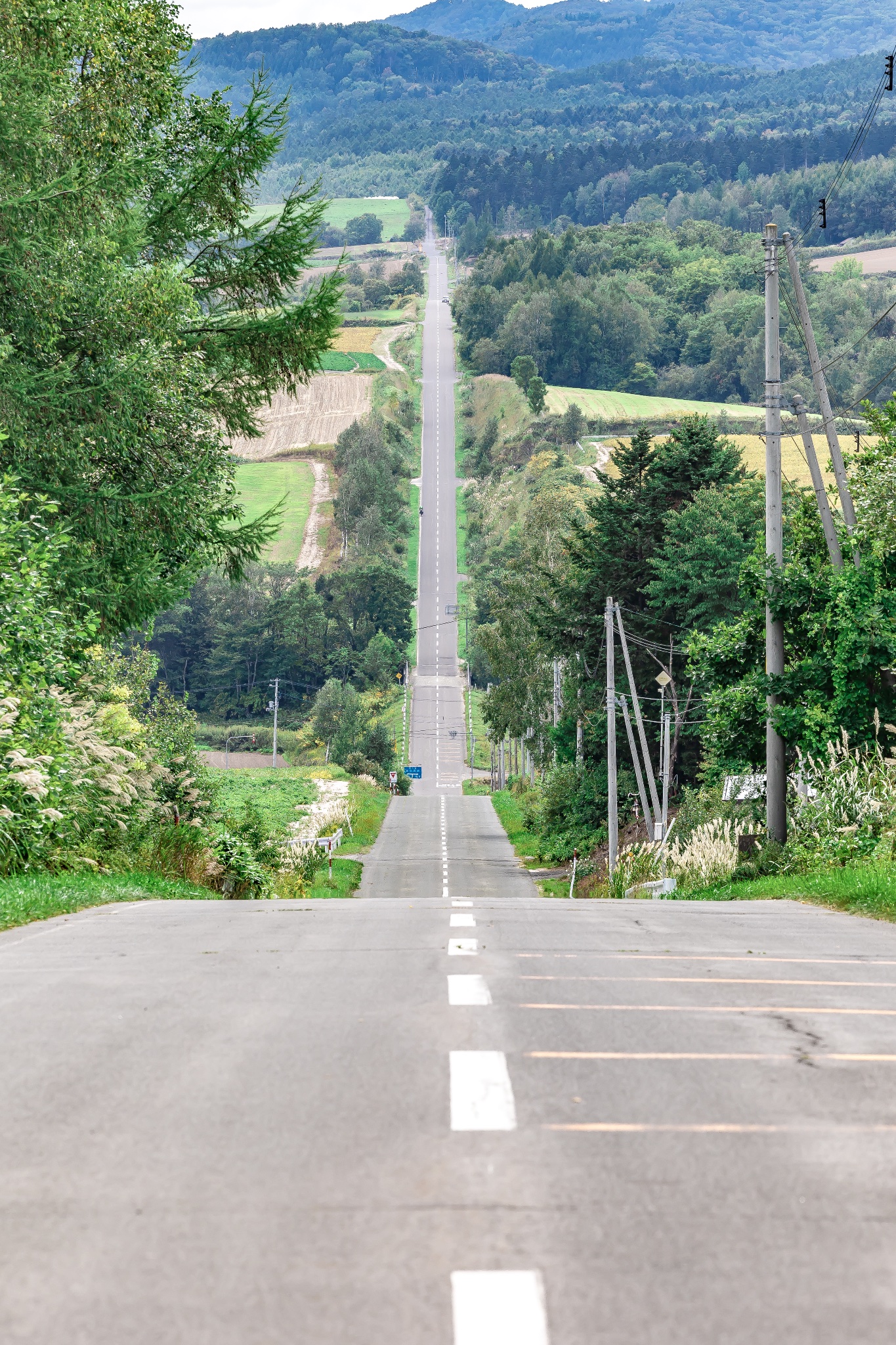 yuya on Twitter: "どこまでも続く一本の道 https://t.co/0H139zjtWi" / Twitter