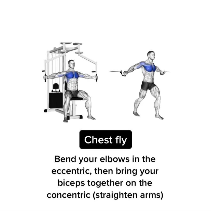 Struggling to build a well-defined and muscular chest? Here are 5 Best ...