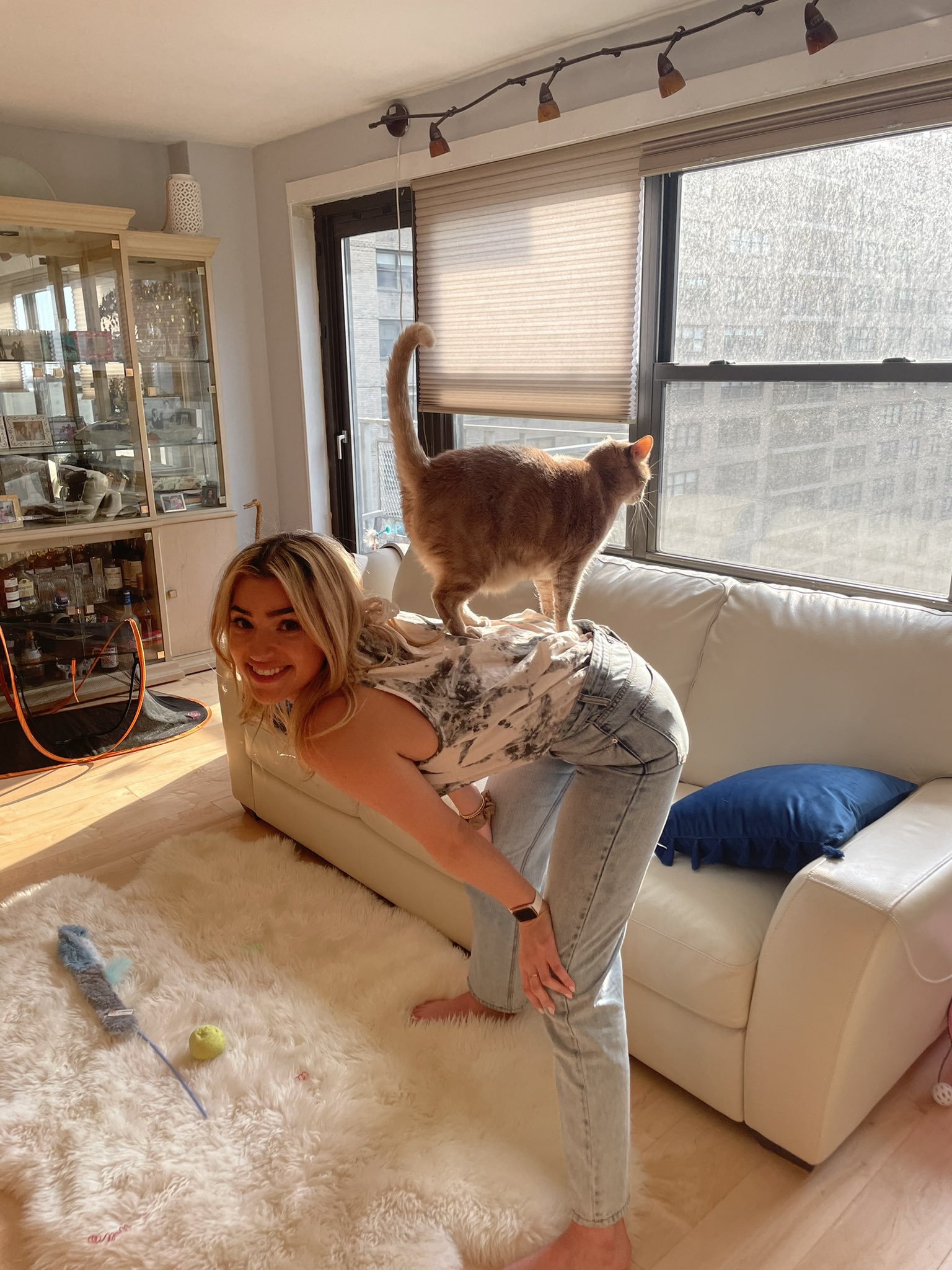 Debra Lea 🇺🇸 on Twitter: "Yes it’s July 4th, but is is also my cat’s 3rd birthday. Everyone ...