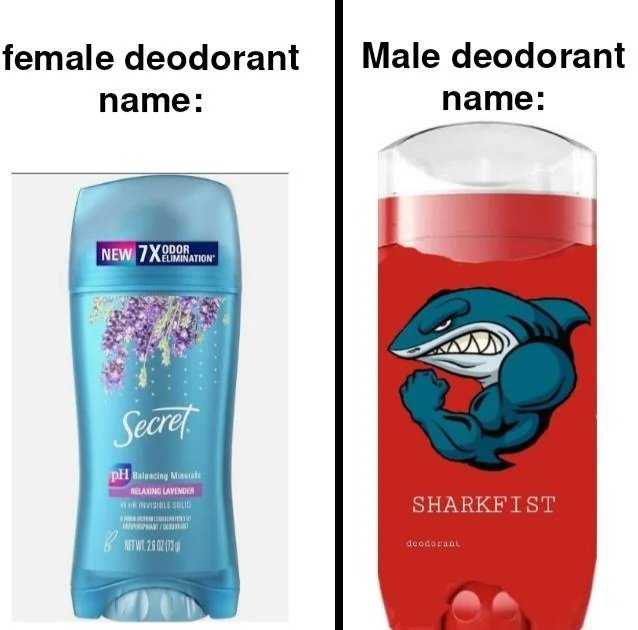 Funniest Memes On X: My Pits Smell Lost Shark Fist X