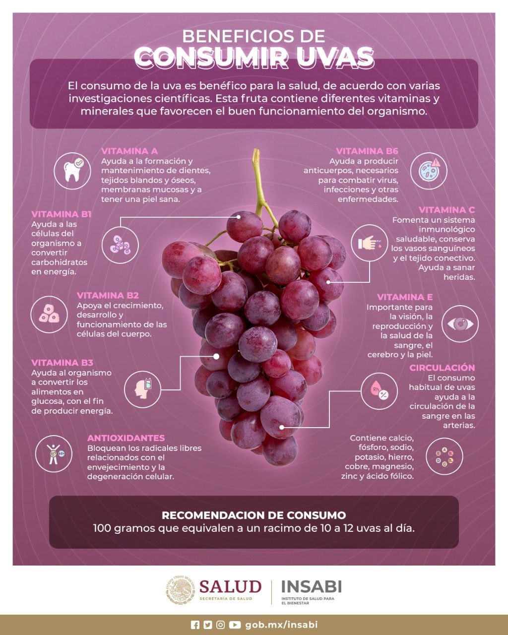 Beneficios De Las Uvas Para La Salud Uva | HerbaZest