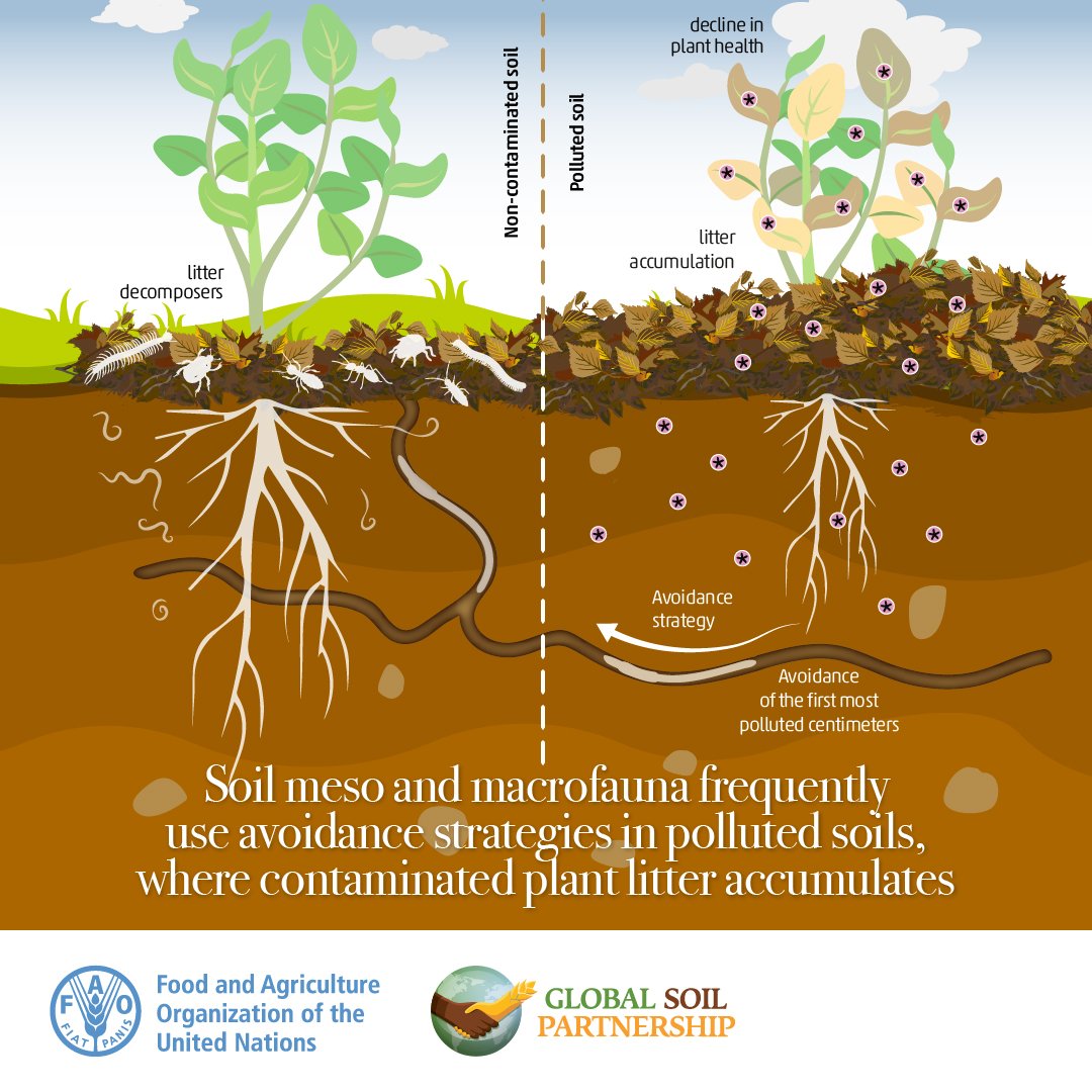 Soil Pollution Diagram