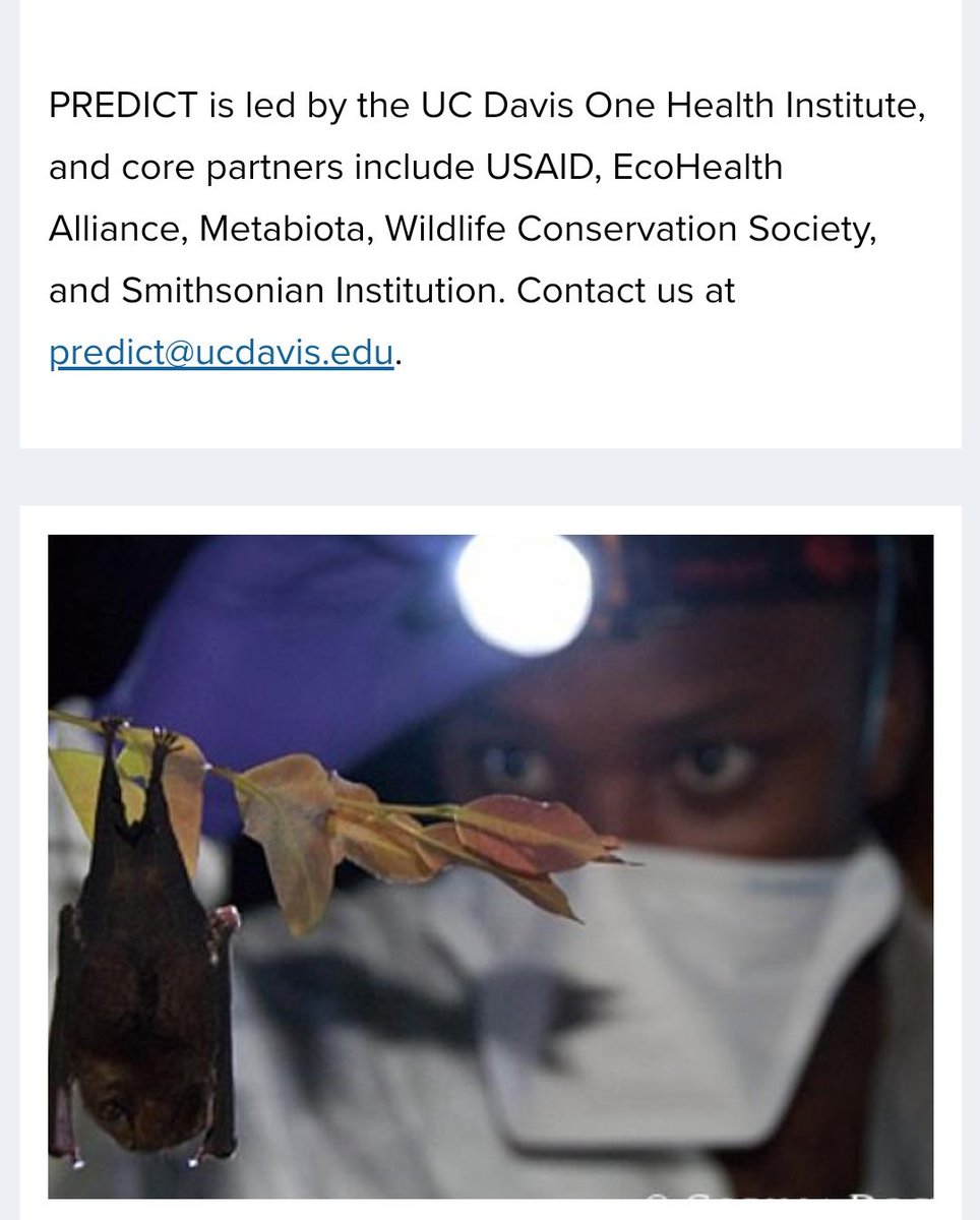 Thread by @CanariesBlue on Thread Reader App – Thread Reader App