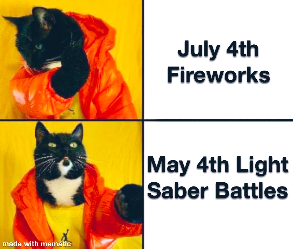 July 4 Fireworks With Cats