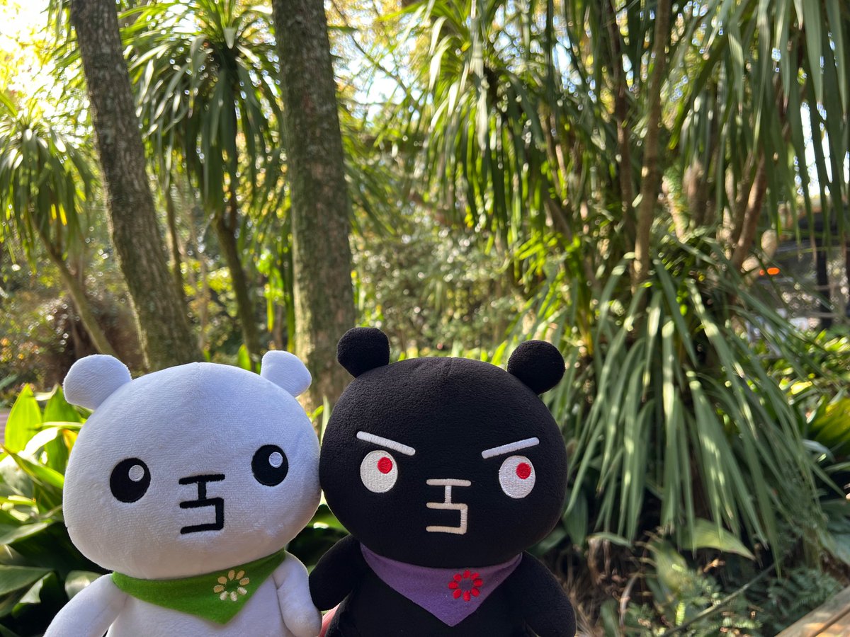 ていたん【公式】(@teitan_kita9) - Twilog