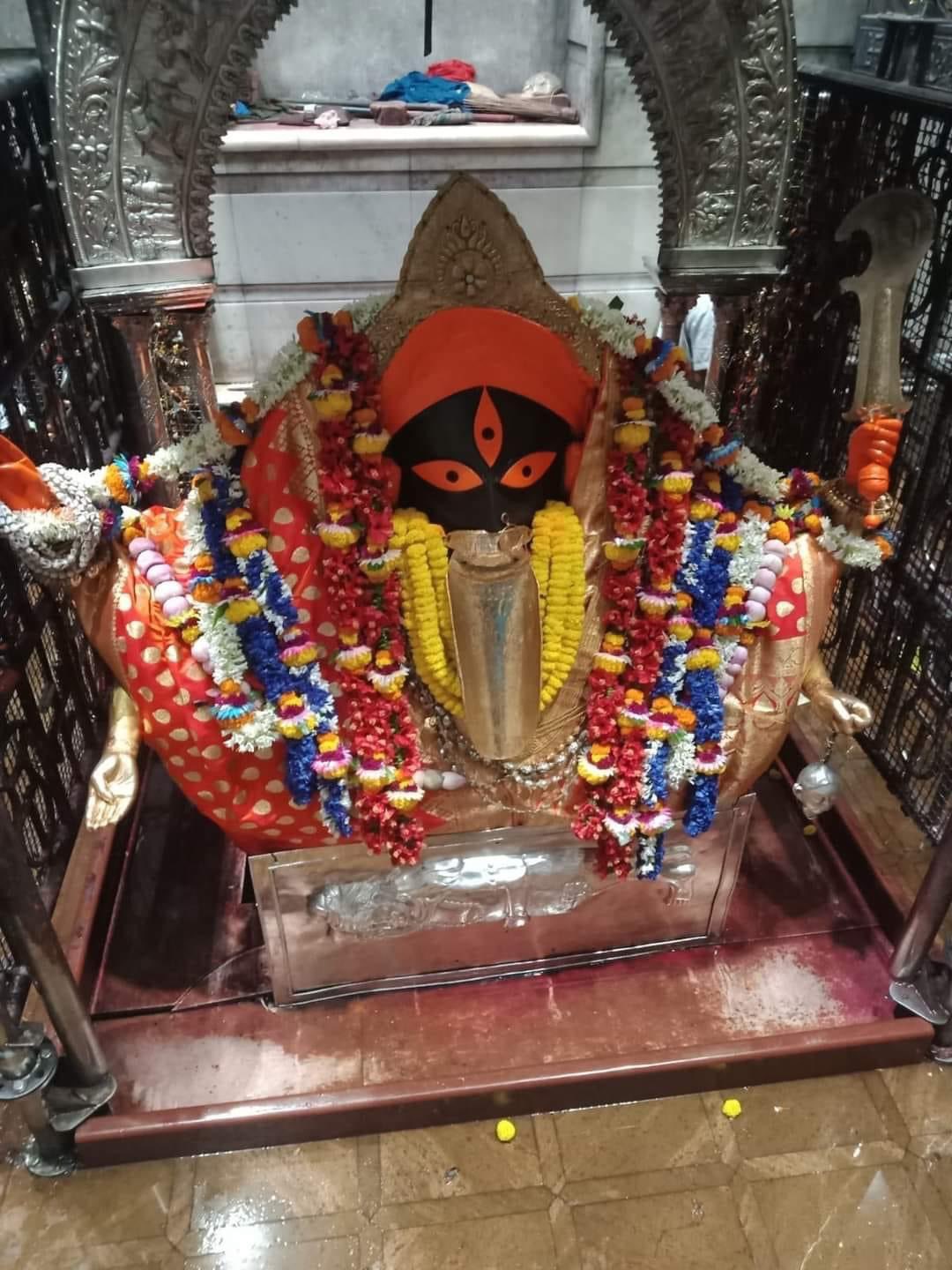 Monidipa Bose - Dey (মণিদীপা) on Twitter: "Kalighat temple, Kolkata. While the space is held ...