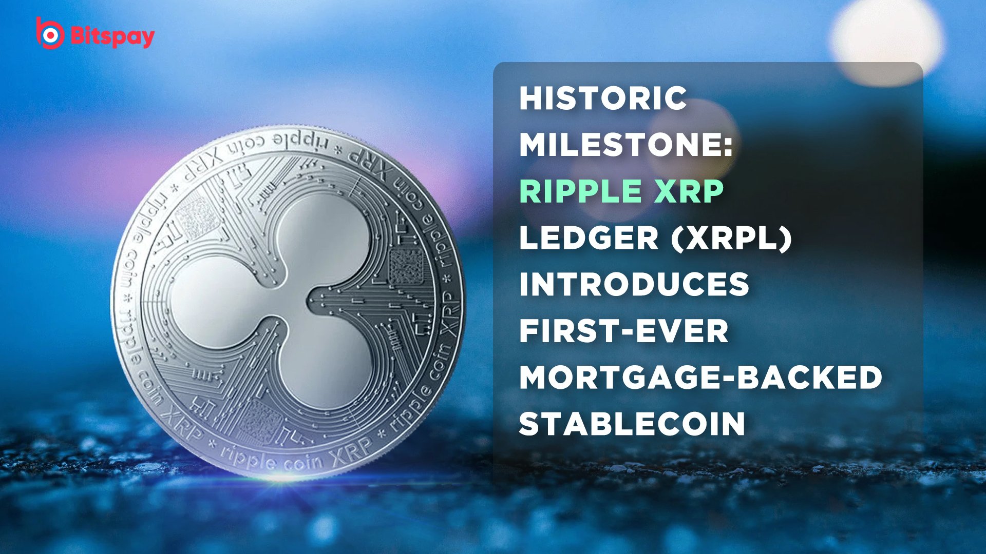 Bitspay on Twitter: "https://t.co/4Cdd4FFu3L" / Twitter