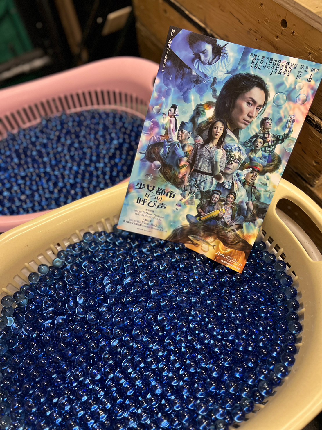 Bunkamura公式ツイッター on Twitter: "\開幕まであと3日！／ THEATER MILANO-Zaオープニングシリーズ COCOON PRODUCTION 2023 ...