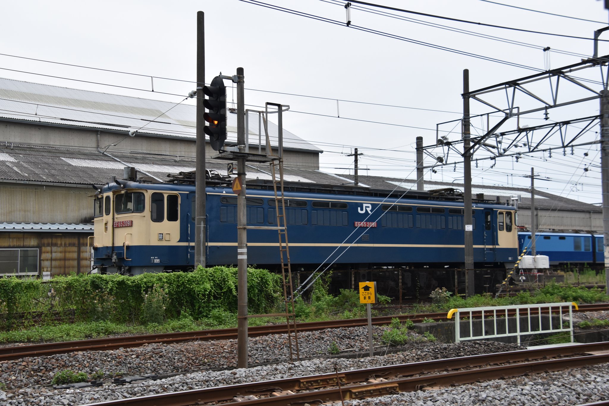 683SnowRabbit on Twitter: "2023/07/05 18:30頃の高崎機関区 EF64 1001 EF64 1032 EF65 501 EF65 2091 EF210 ...