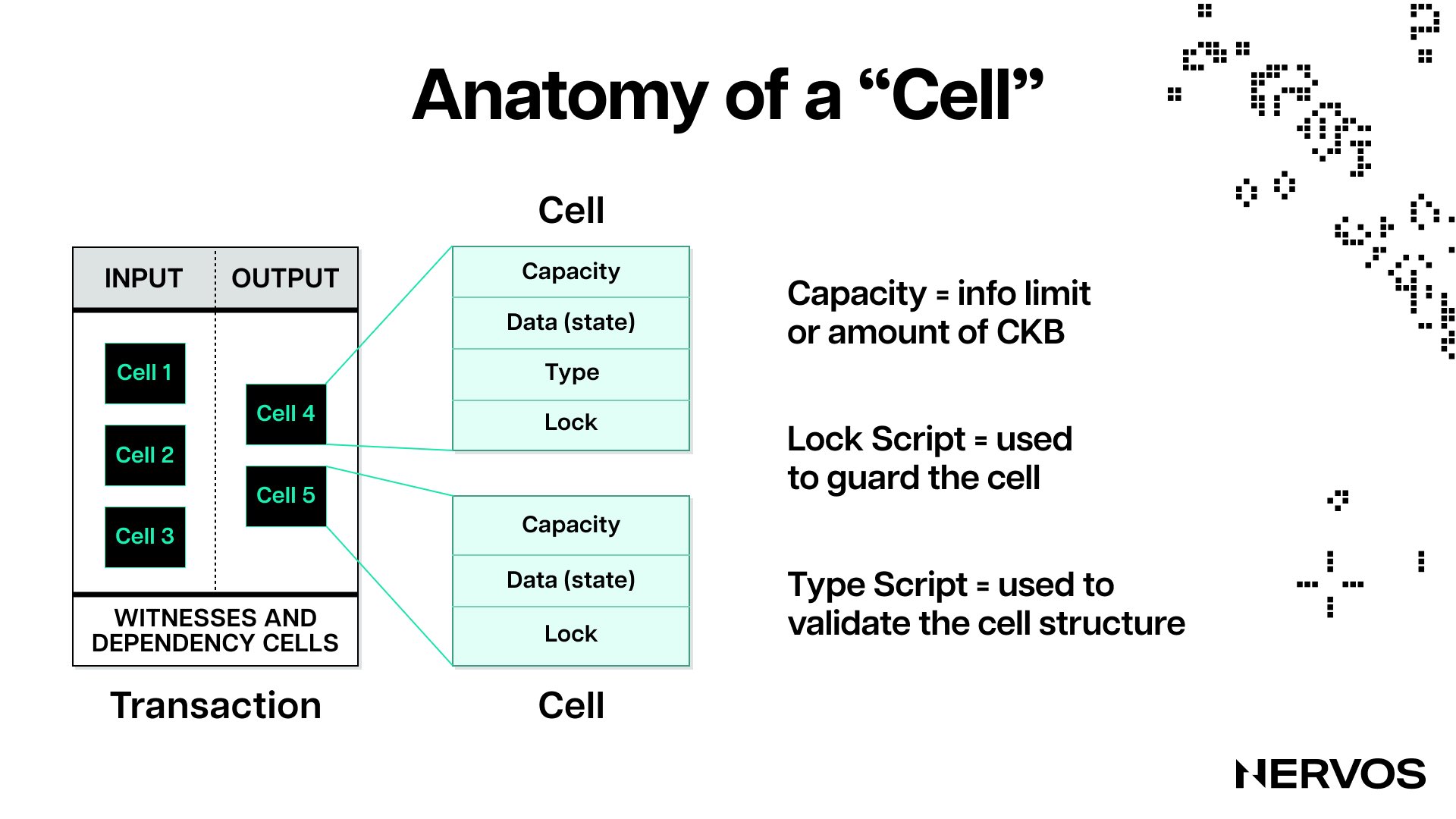 Nervos.bit on Twitter: "The Cell model is a novel blockchain accounting model that we invented ...