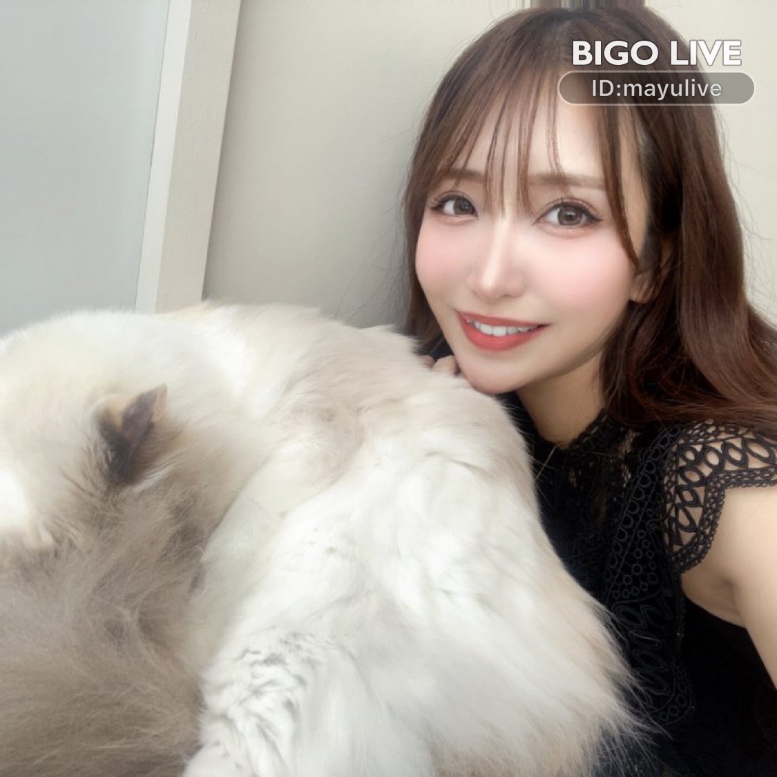 mayu on Twitter: "#BIGOLIVE に来てmayu🥂💐次回水曜日 の配信を見ながら新しい友達と出会いましょう！ https://t.co/WpCPric55M https ...