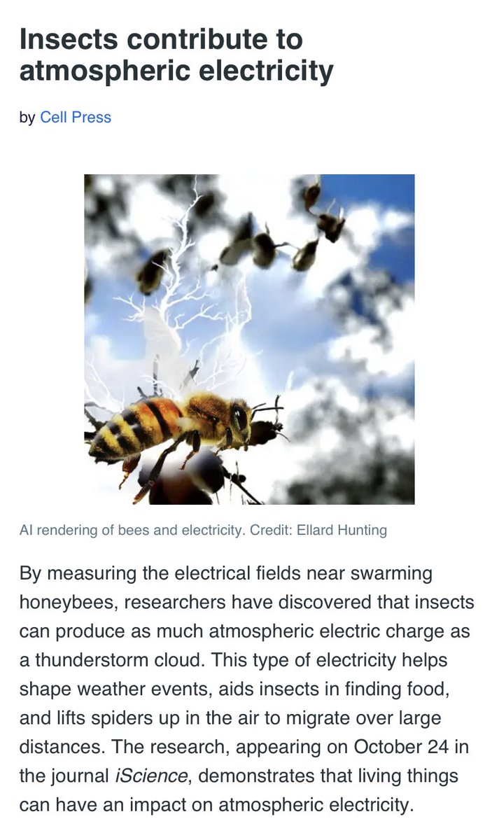 Insect swarms shape weather events by producing atmospheric electric ...