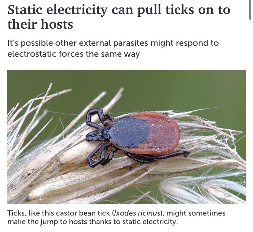 Insect swarms shape weather events by producing atmospheric electric ...